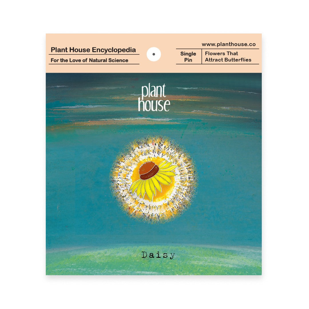 Daisy – Plant House